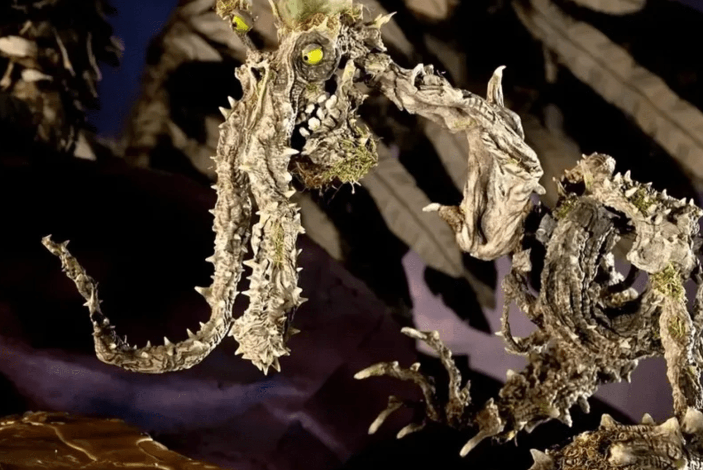 Ceimut – Multimexo